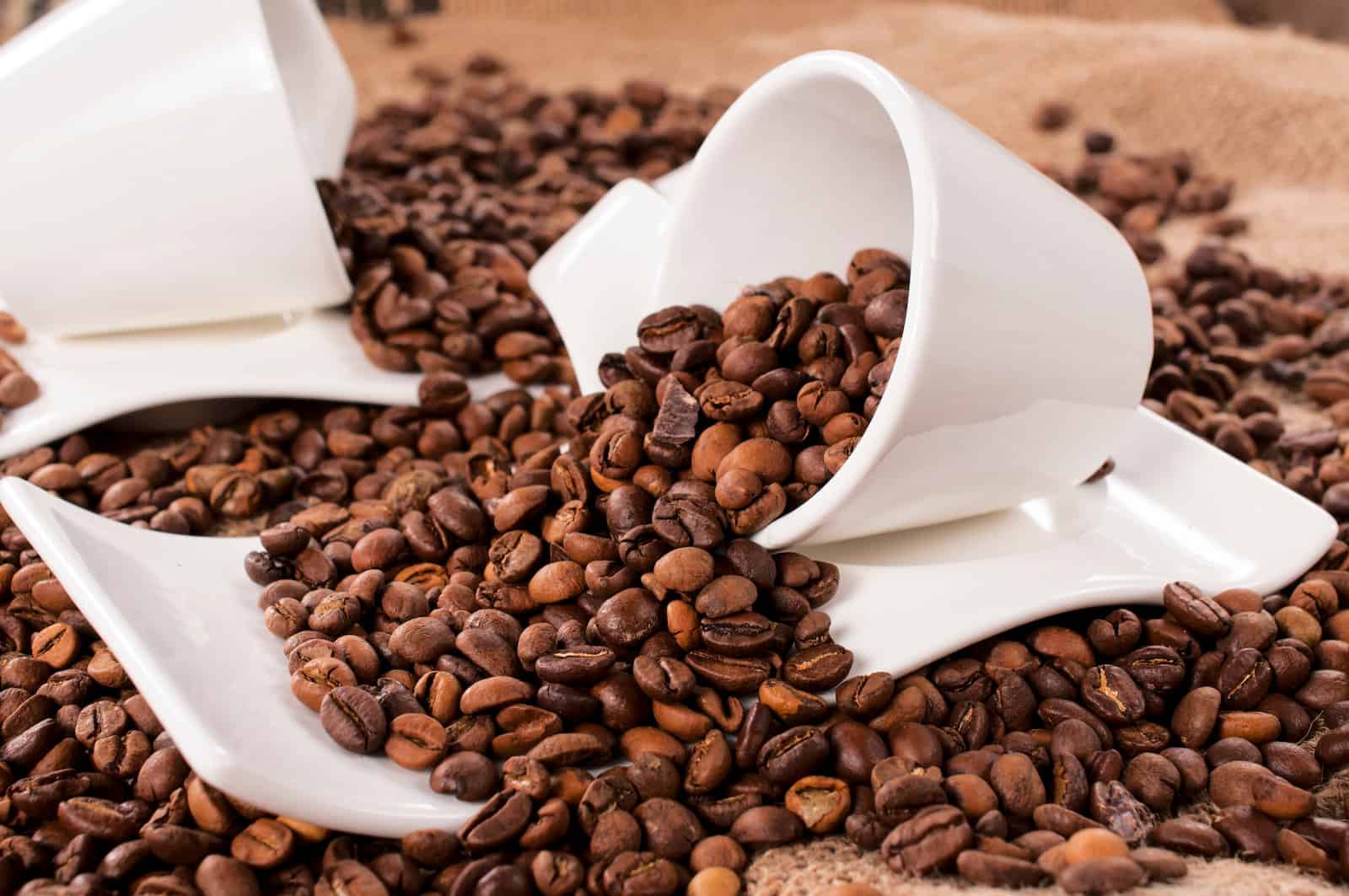 Best Way To Store Coffee Beans Long Term The Kitchen Journal